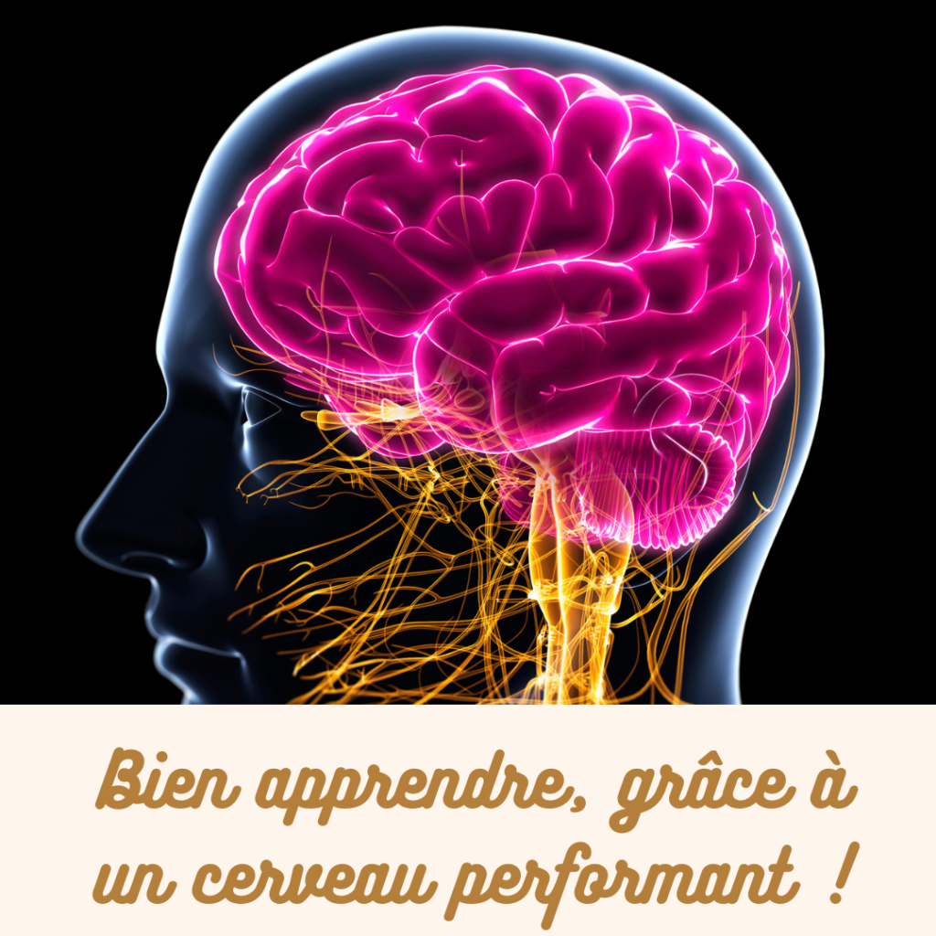 Bien apprendre - LC COACH